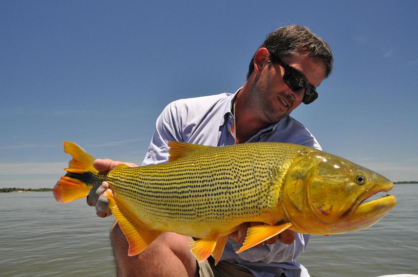 Dorado fishing in Corrientes | Faraway Fly Fishing