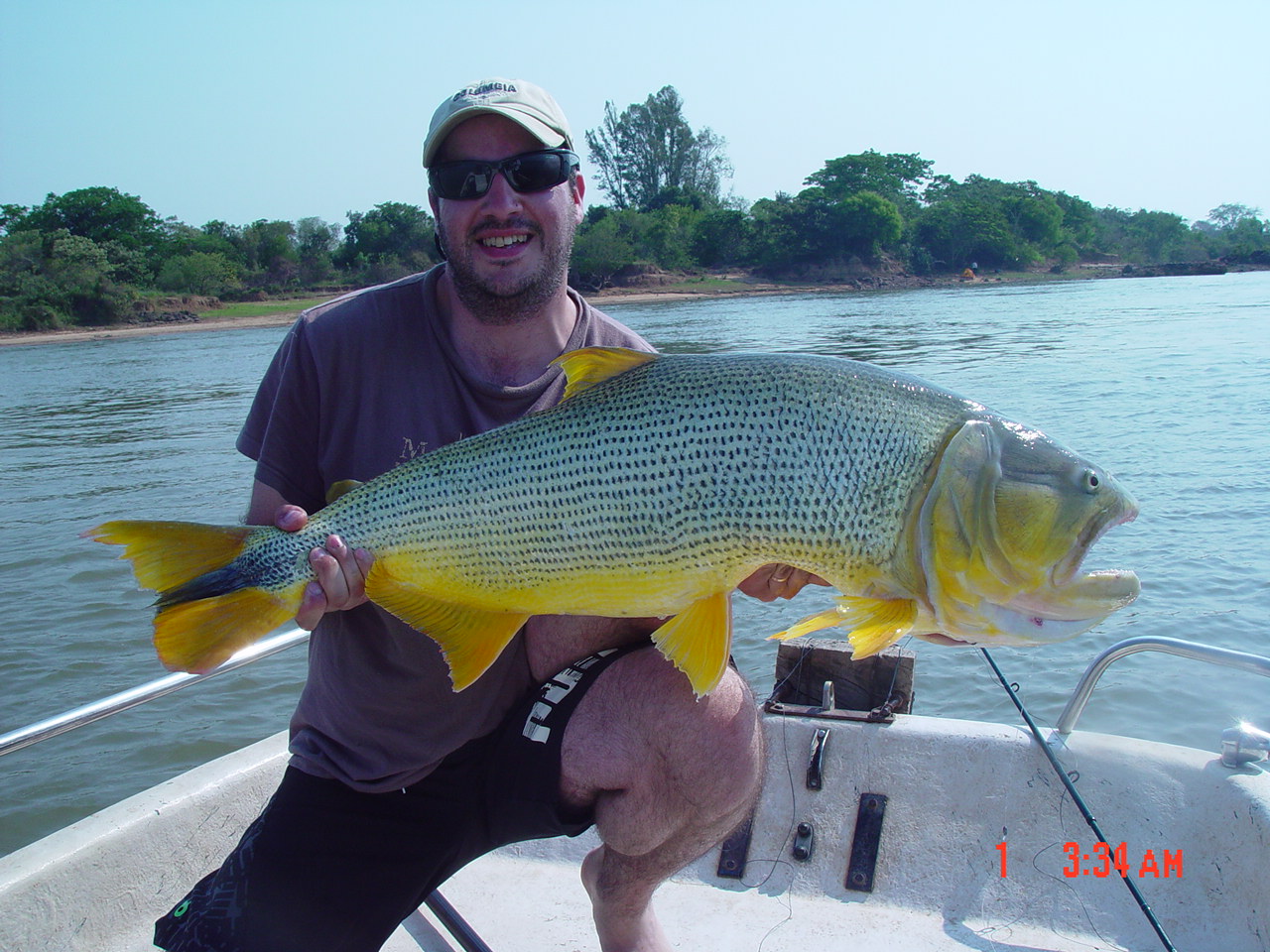 Dorado Report from upper Parana river | Faraway Fly Fishing
